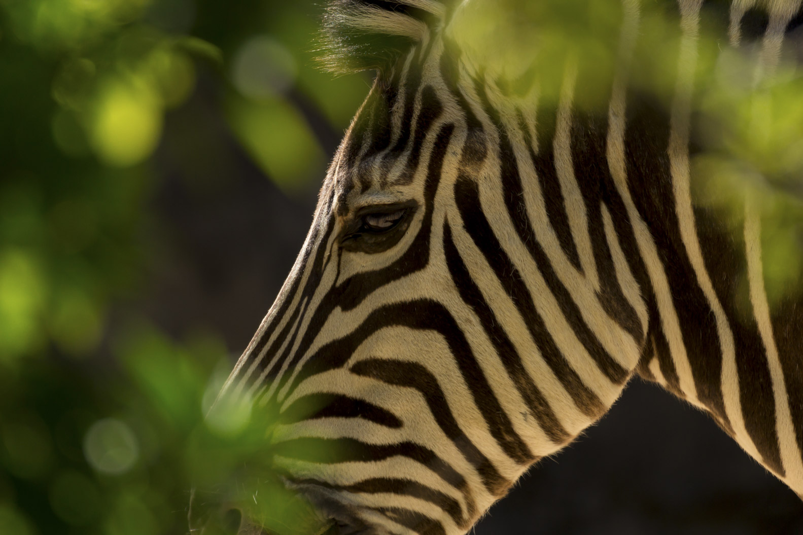 Hiding - alittlebitofskye